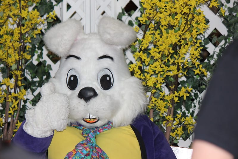 Easter Bunny Photos - Chicago on the Cheap